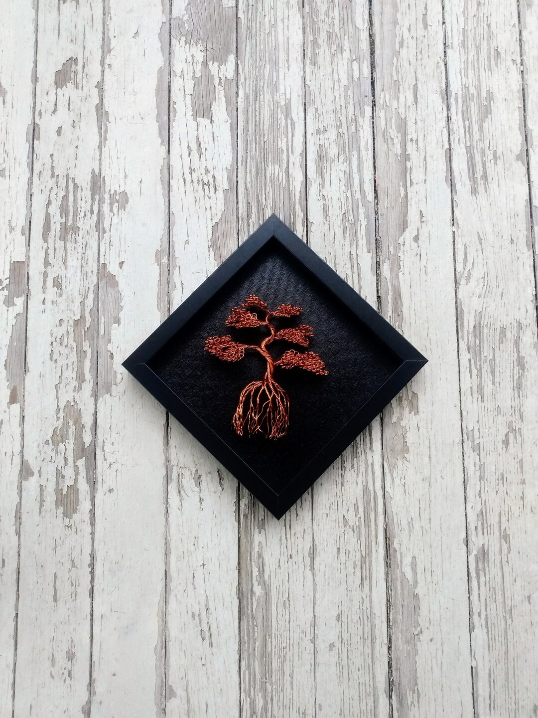 Orange Bonsai Tree in Black Shadow Box Frame, Ready to Hang Gallery ...