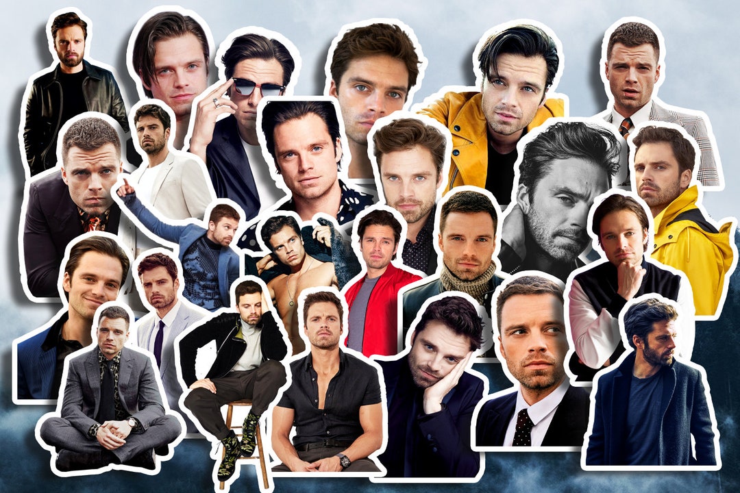 Sebastian Stan Stickers Waterproof Sticker - Etsy