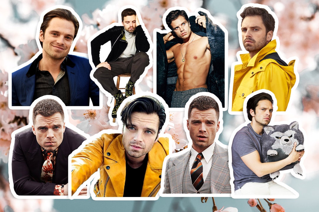 Sebastian Stan Stickers Waterproof Sticker - Etsy