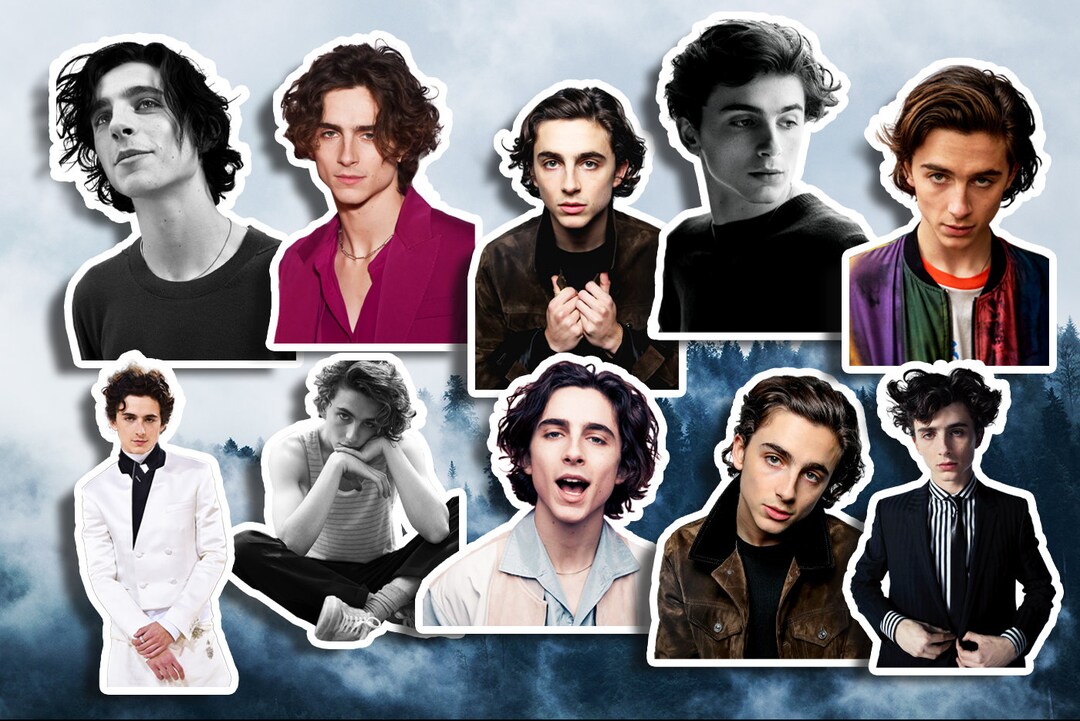 Timothée Chalamet Stickers Waterproof Sticker - Etsy