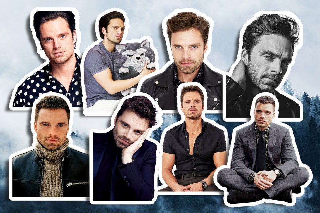 Sebastian Stan Stickers, Waterproof, Glossy Vinyl Stickers, Sebastian ...
