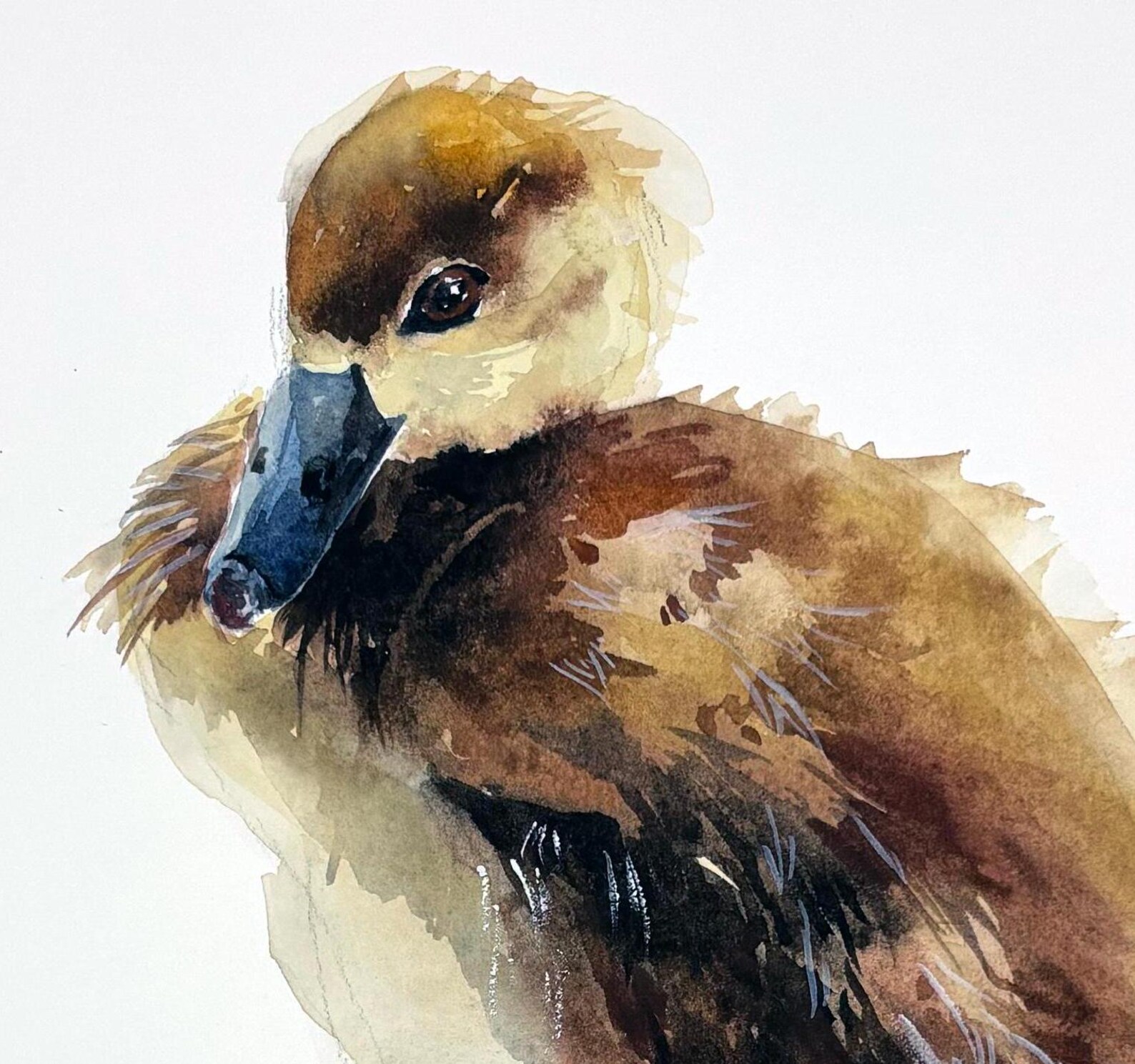 Original Painting Duck Watercolor Wall Art | Hand-painted Art ...