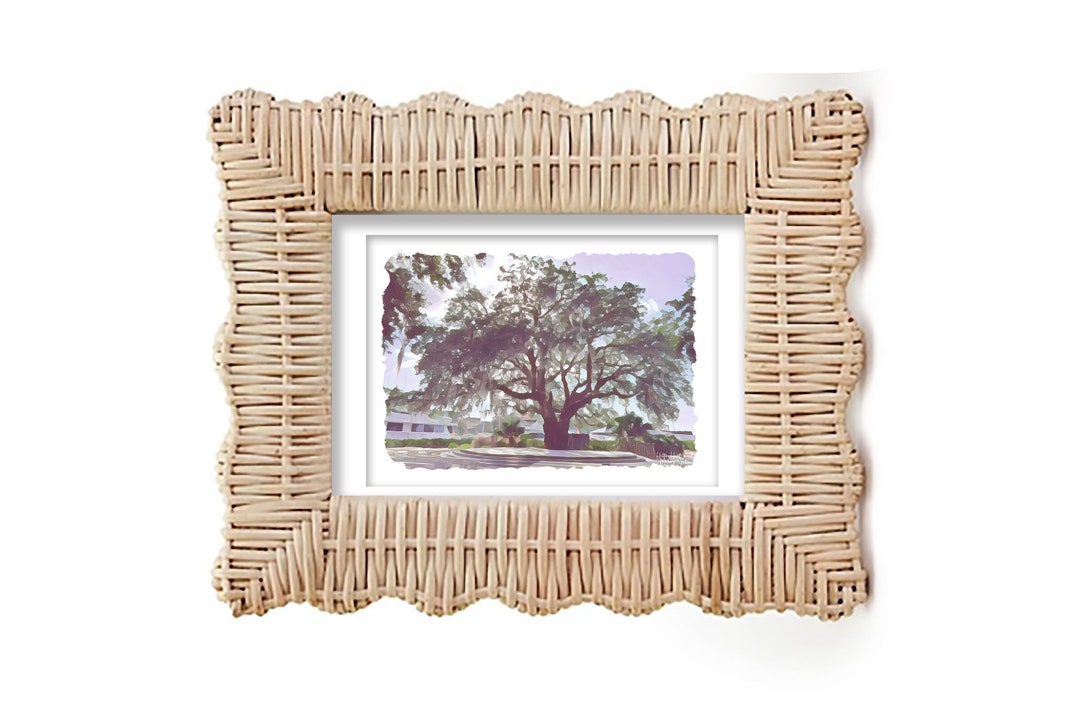 The Liberty Oak in Harbour Town Hilton Head Island, South Carolina Fine ...