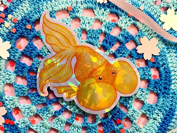 Cute Bubble Eye Goldfish