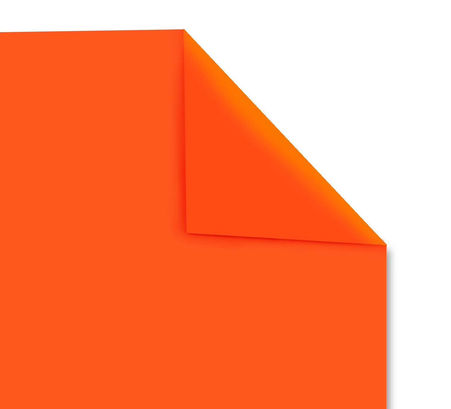 Hygloss Fluorescent Poster Board Two-sided, 22 X 28-inch, 5 NEON Colors ...