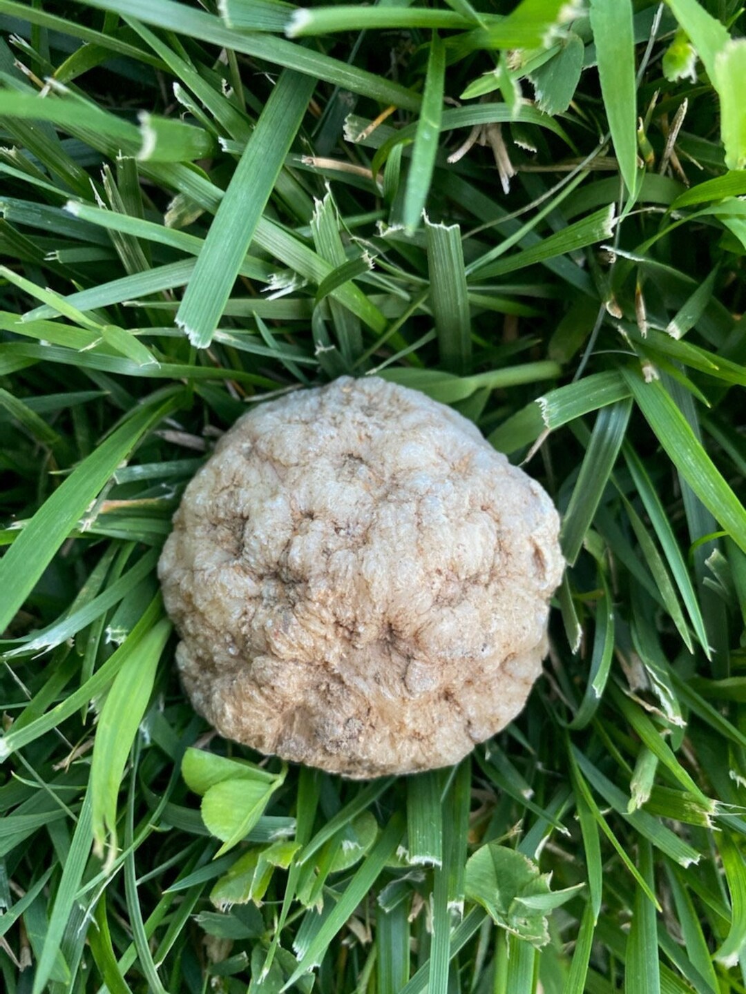 Mini Geodes Break Your Own! - Etsy