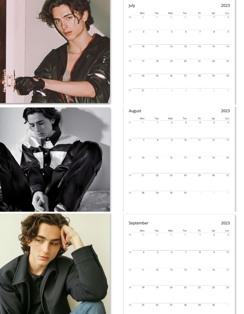 2023 Finn Wolfhard Calendar Celebrity Calendar 2023 - Etsy