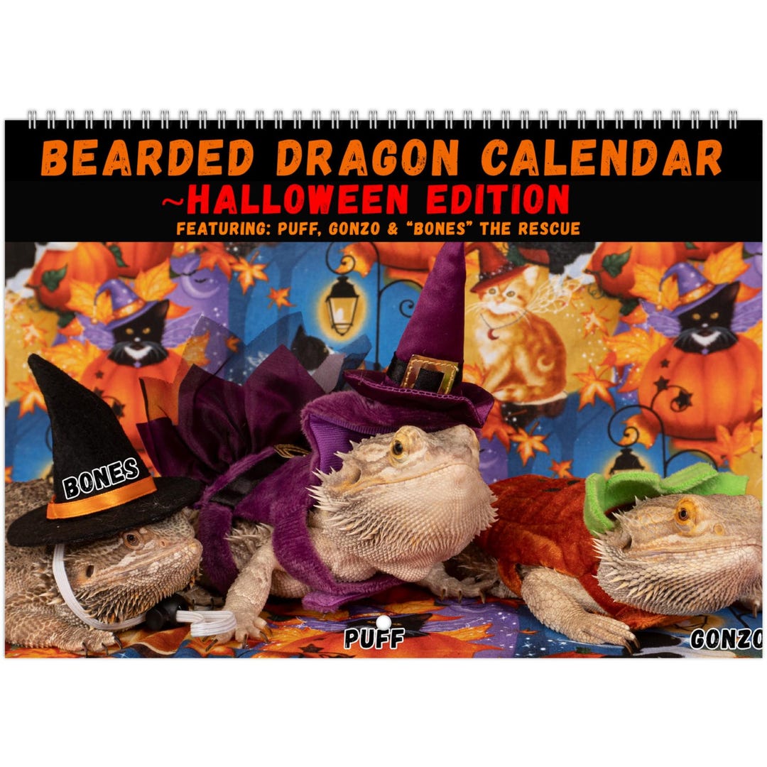 Bearded Dragon Wall Calendar 2026 - Halloween Edition (EU/UK/AUS Only ...