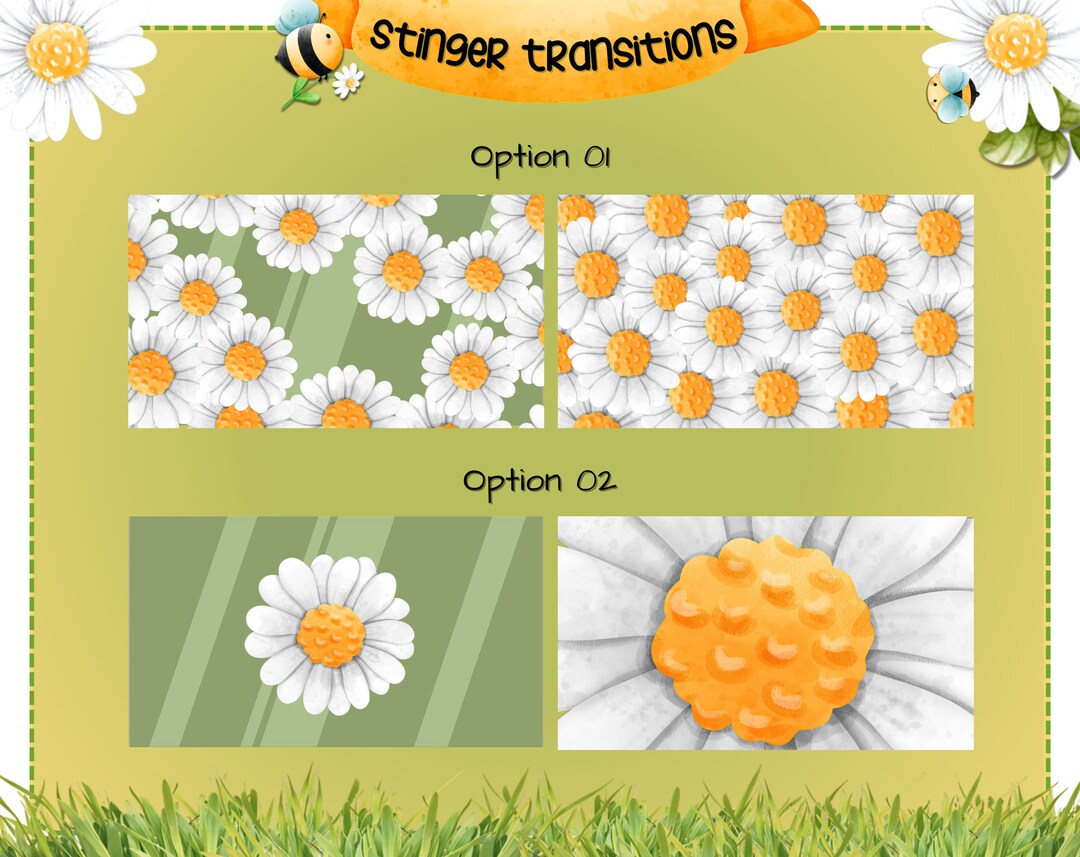 Daisy Twitch Stinger Transition. Flower Stream Scene Transition ...