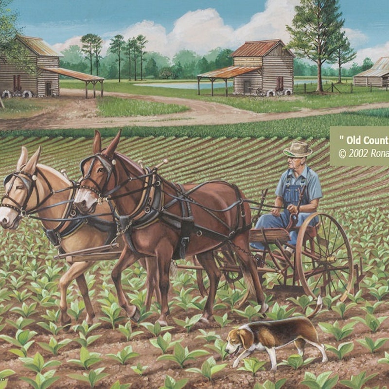 RaglandOldCountryArt - Etsy
