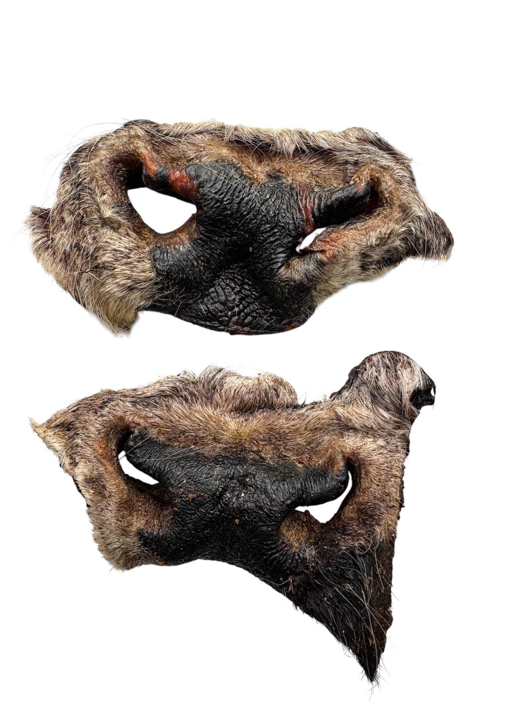 4X Hairy Beef Snout Dog Chew: All Natural Air-dried Treat - Etsy
