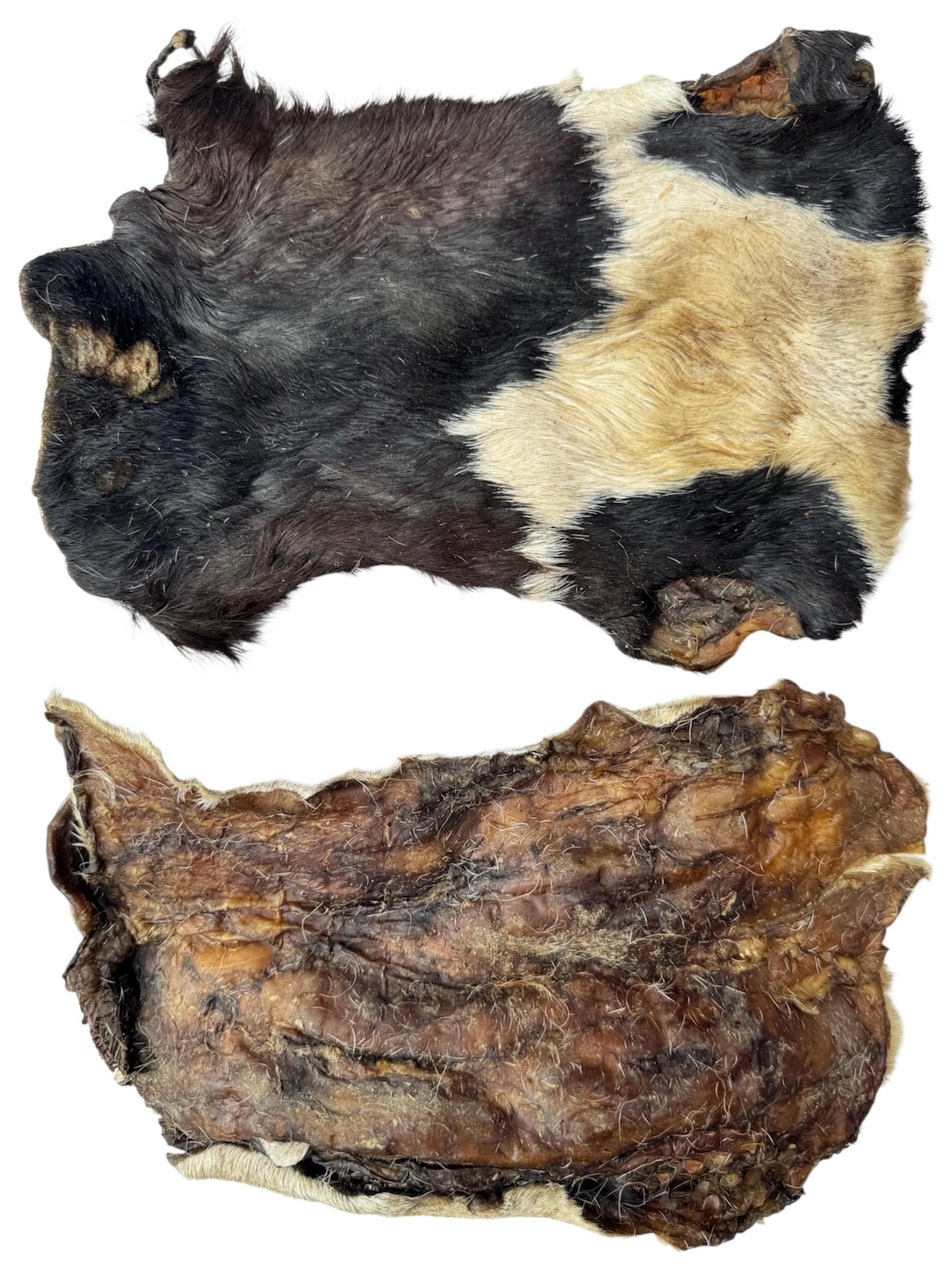 2 Large Natural Beef Skins Natural-organic Dog Chew Treat: Long-lasting ...