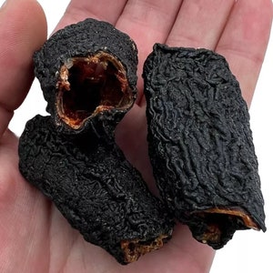 Air Dried Organic Canadian Sea Cucumbers: High Protein, Natural ...