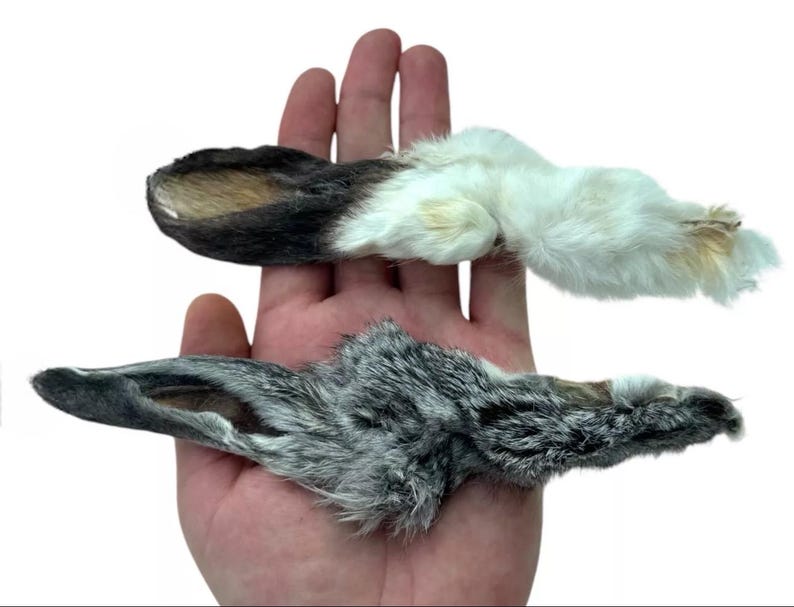 Natural Air-dried Hairy Rabbit Ears - Single-ingredient Crunchy Dog ...