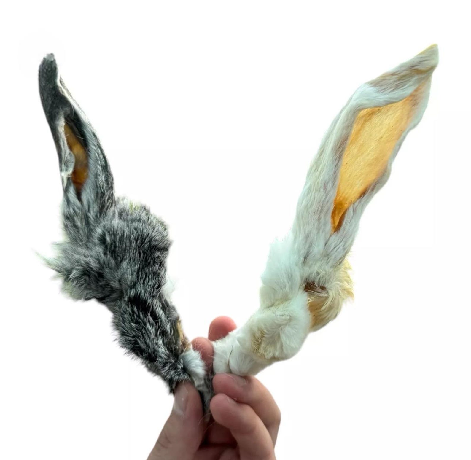 Natural Air-dried Hairy Rabbit Ears - Single-ingredient Crunchy Dog ...