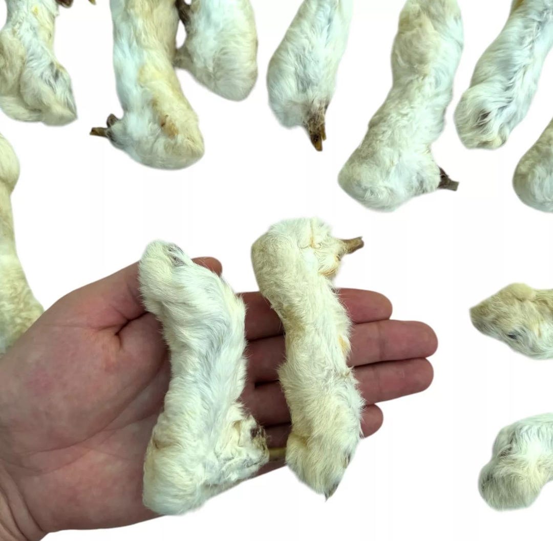 Air-dried Rabbit Furry Feet Dog Chews - 100% Natural Single-ingredient ...