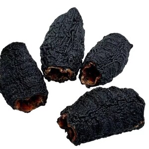 Air Dried Organic Canadian Sea Cucumbers: High Protein, Natural ...