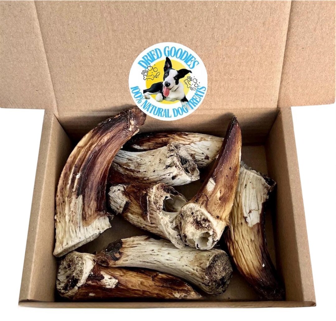 Organic Lamb Horn Marrow Dog Treat: Luxury Icelandic Chews (300g Box ...