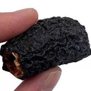 Air Dried Organic Canadian Sea Cucumbers: High Protein, Natural ...
