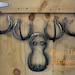 Funky Moose With Hangers - Etsy