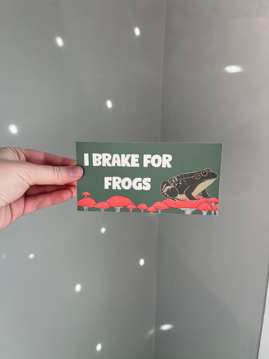 I Brake for Frogs Sticker -bumper Sticker for Frog Lovers - Etsy