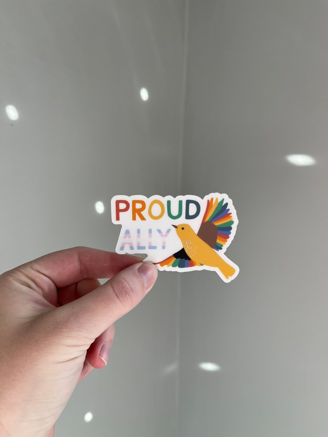 PROUD ALLY - CLEAR 3” Bird Sticker With Rainbow Bird for Lgbtq Birders ...