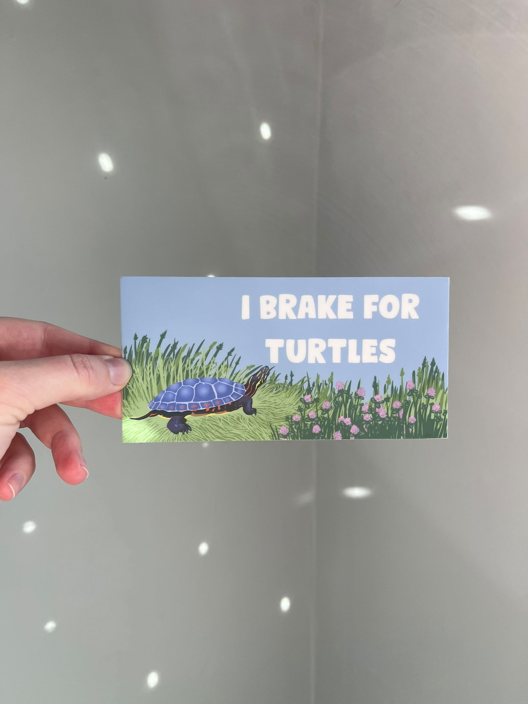 I Brake for Turtles Sticker - Painted Turtle - Bumper Sticker for ...
