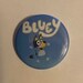 Bluey 5 Pin Set - Etsy