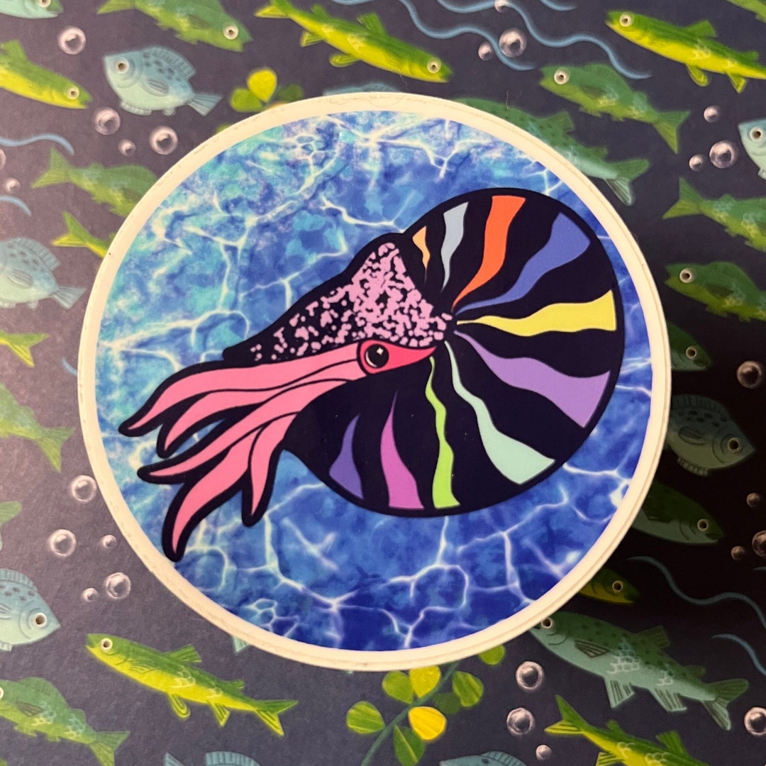Nautilus Vinyl Sticker - Etsy