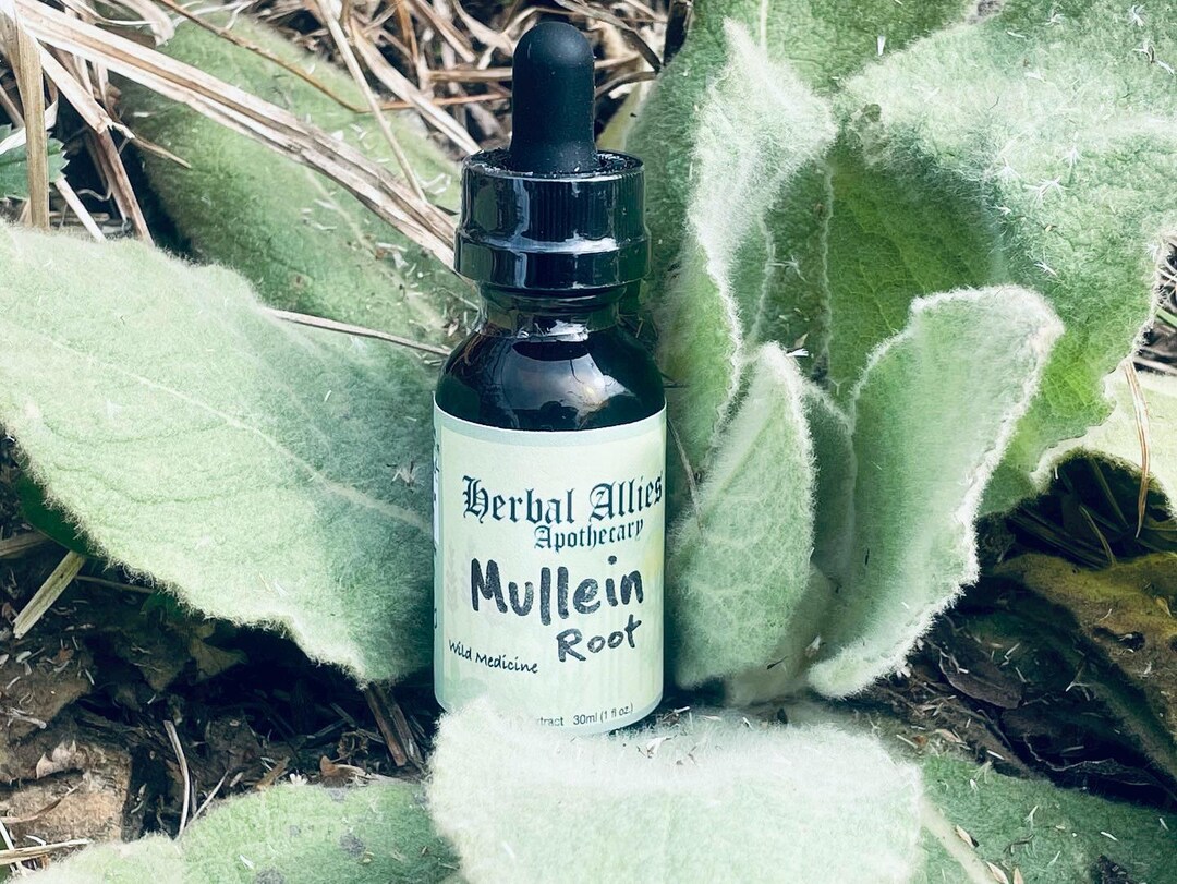 Mullein Root Herbal Extract - Etsy