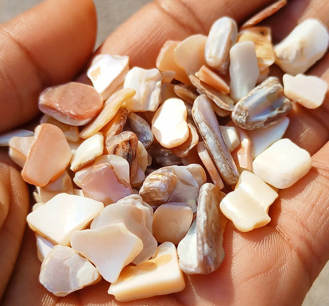 Sea Shell Irregular Chips Craft Supplies, Home Decors, Jewelry Making ...