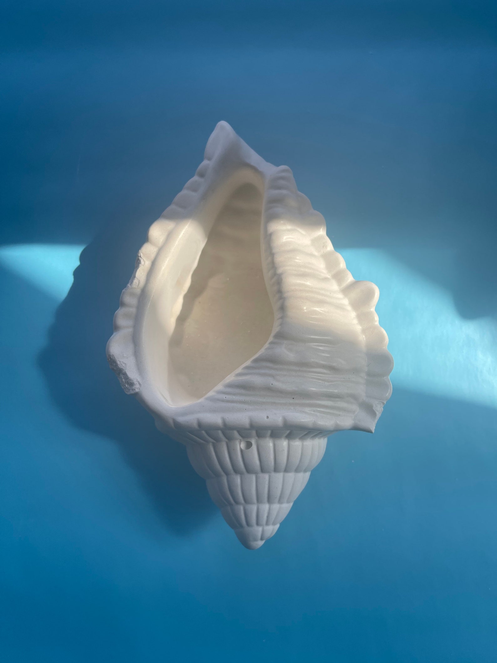 Large Sea Shell Candles - Etsy