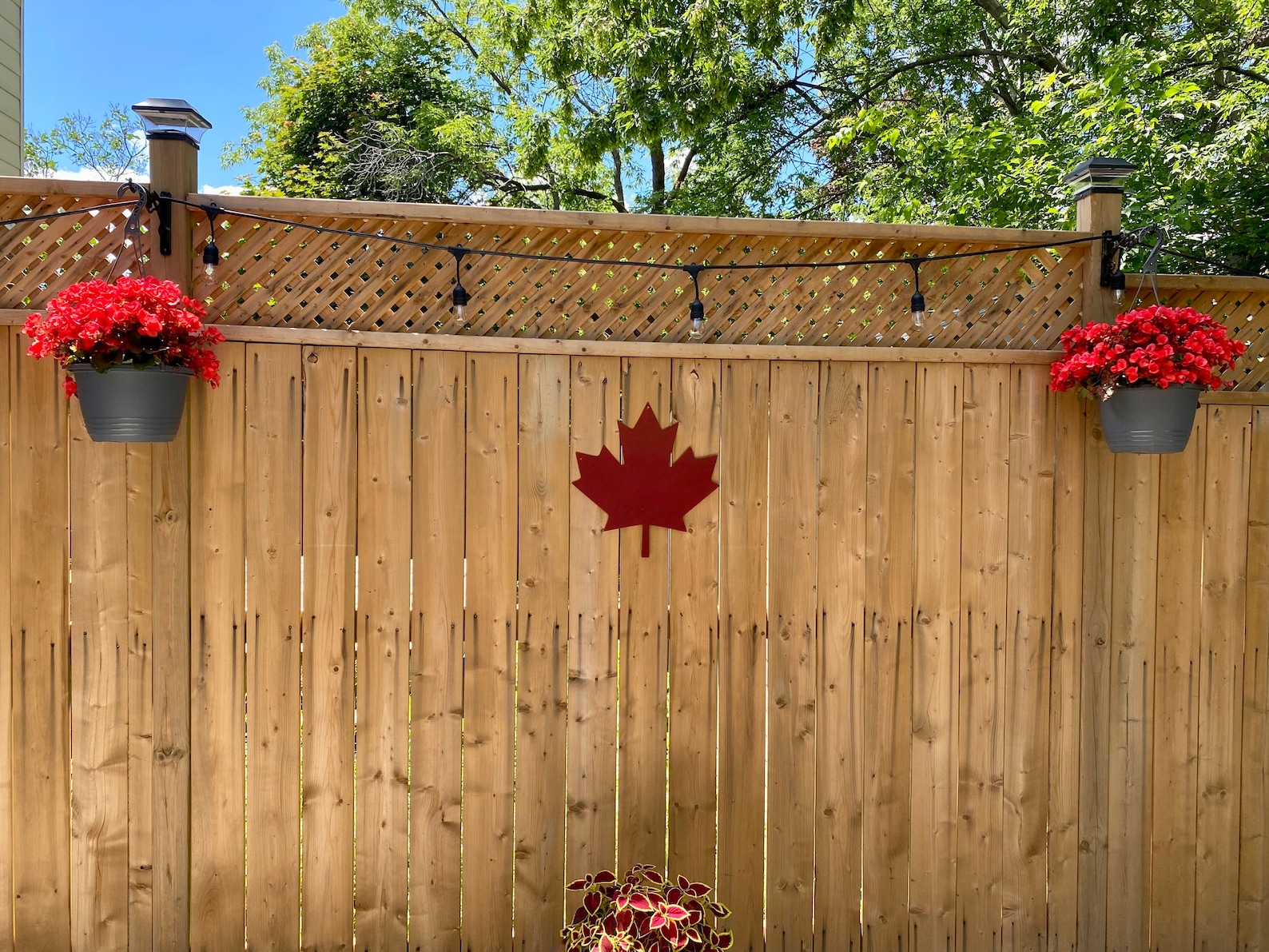 Metal Maple Leaf /maple Leaf Wall Art / Maple Leaf Home Decor - Etsy