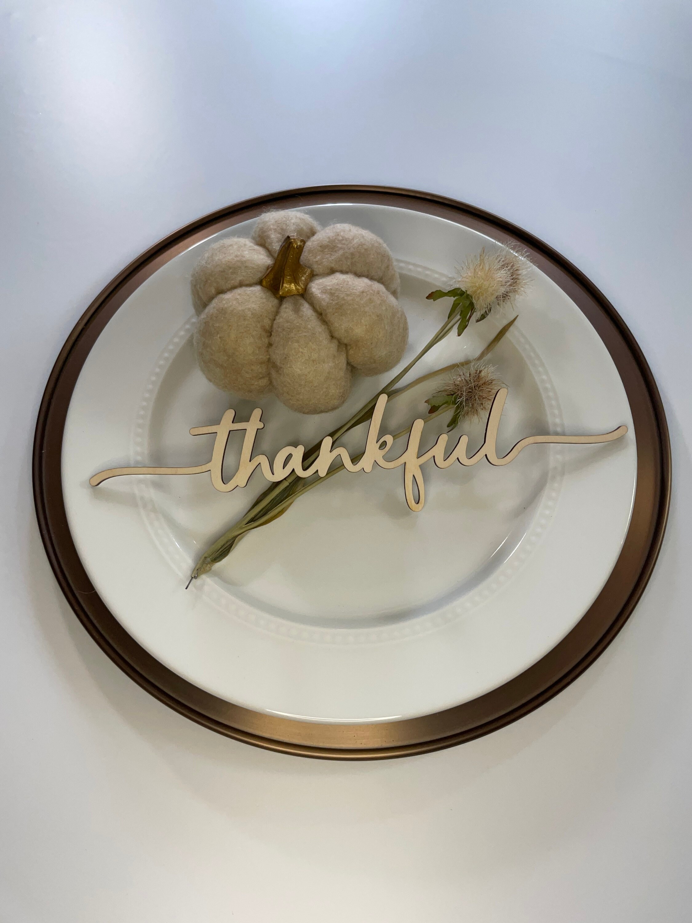 Thanksgiving Place Cards Dining Table Decor Words - Etsy