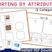 Printable Sorting by Attributes Activity, Describing Words, Preschool ...