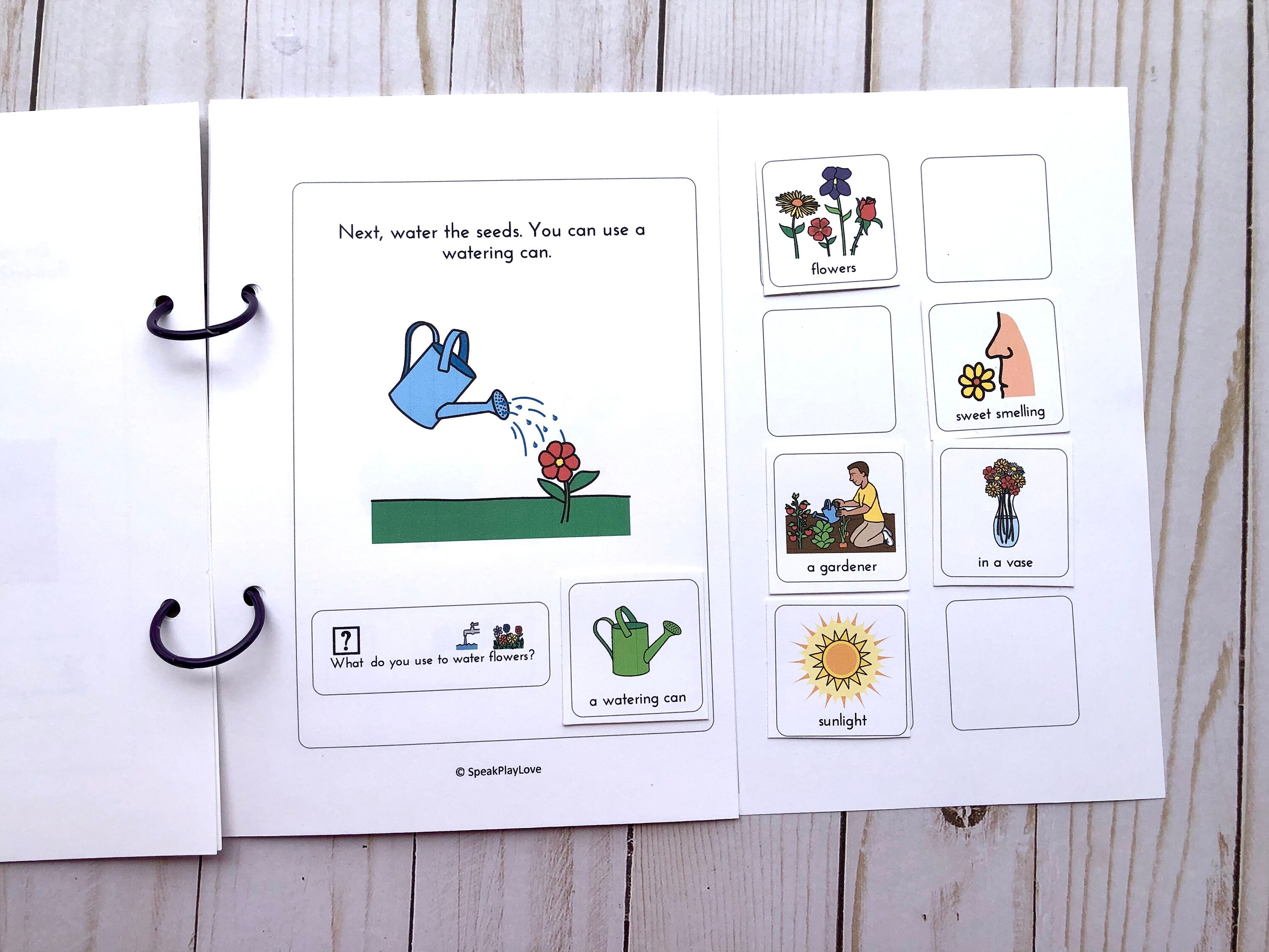 Printable Spring Interactive Books, Wh Questions for Speech Therapy ...