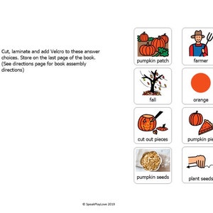 Printable Pumpkin Interactive Book With Wh Questions, Autism Activity ...