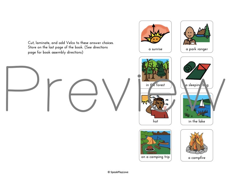 Printable Summer Interactive Books, Wh Questions for Speech Therapy ...