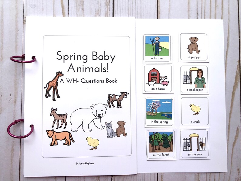 Printable Spring Interactive Books, Wh Questions for Speech Therapy ...