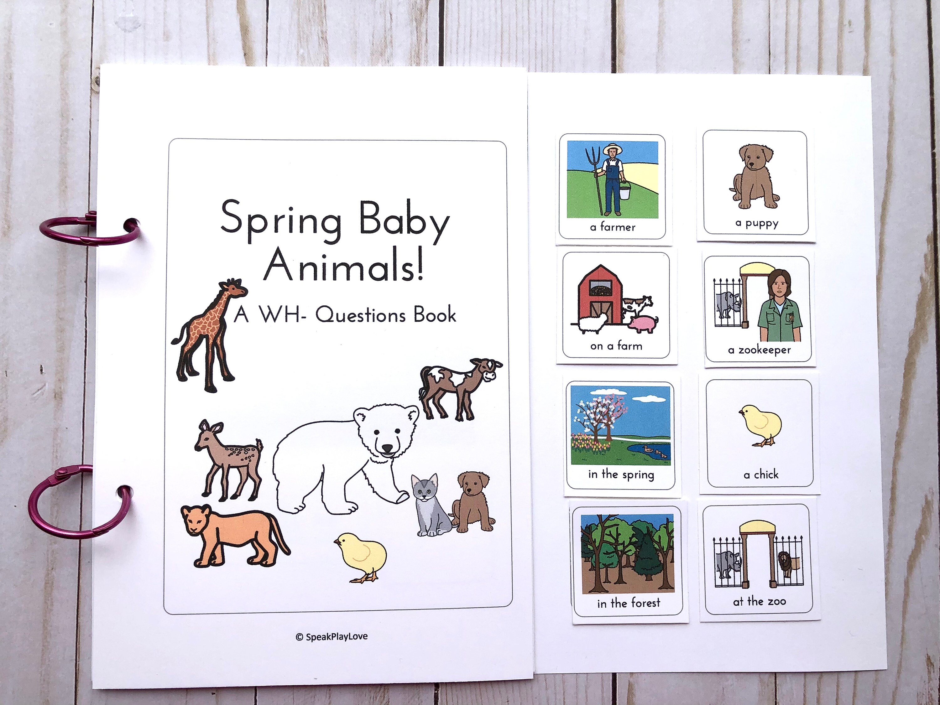 Printable Spring Interactive Books, Wh Questions for Speech Therapy ...