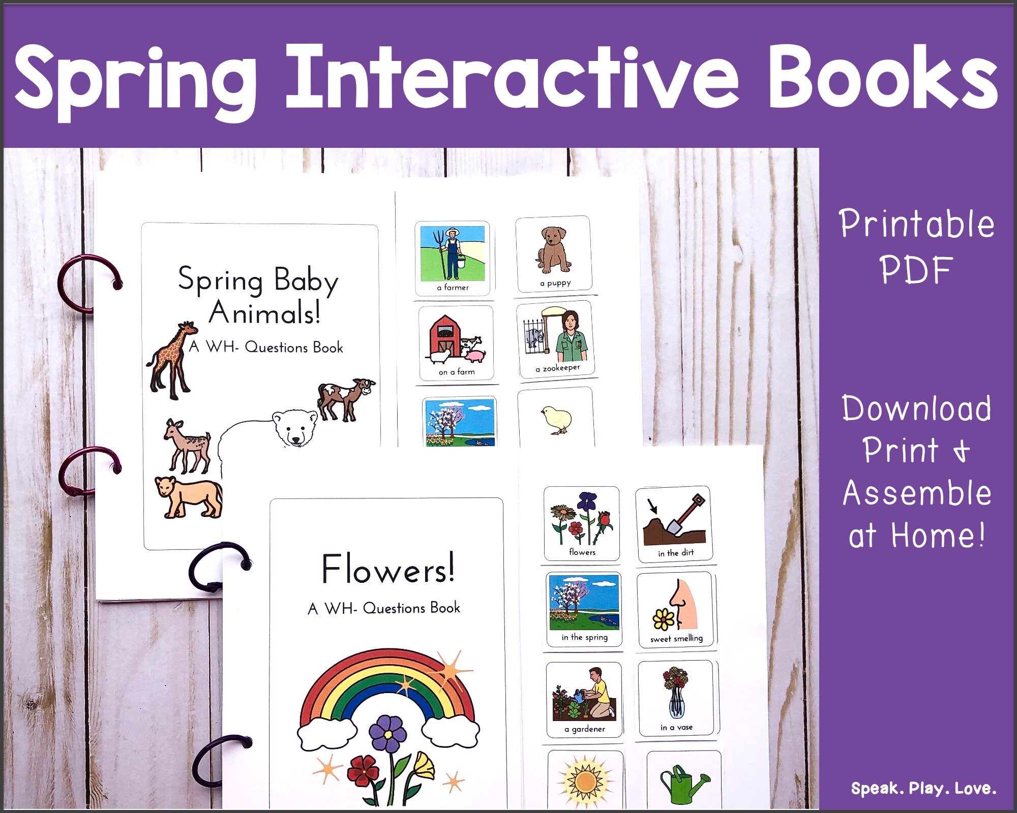 Printable Spring Interactive Books, Wh Questions for Speech Therapy ...