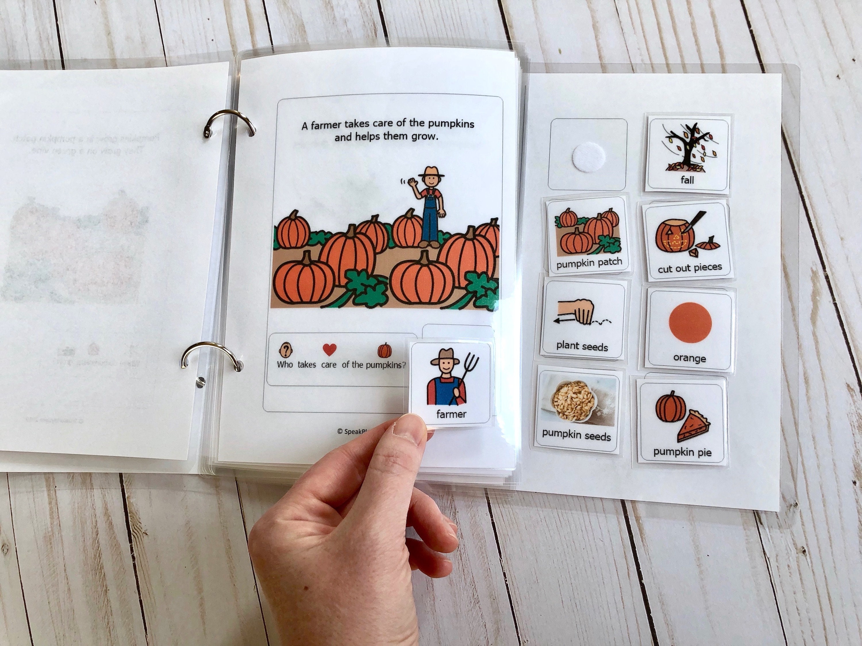 Printable Pumpkin Interactive Book With Wh Questions, Fall Speech ...