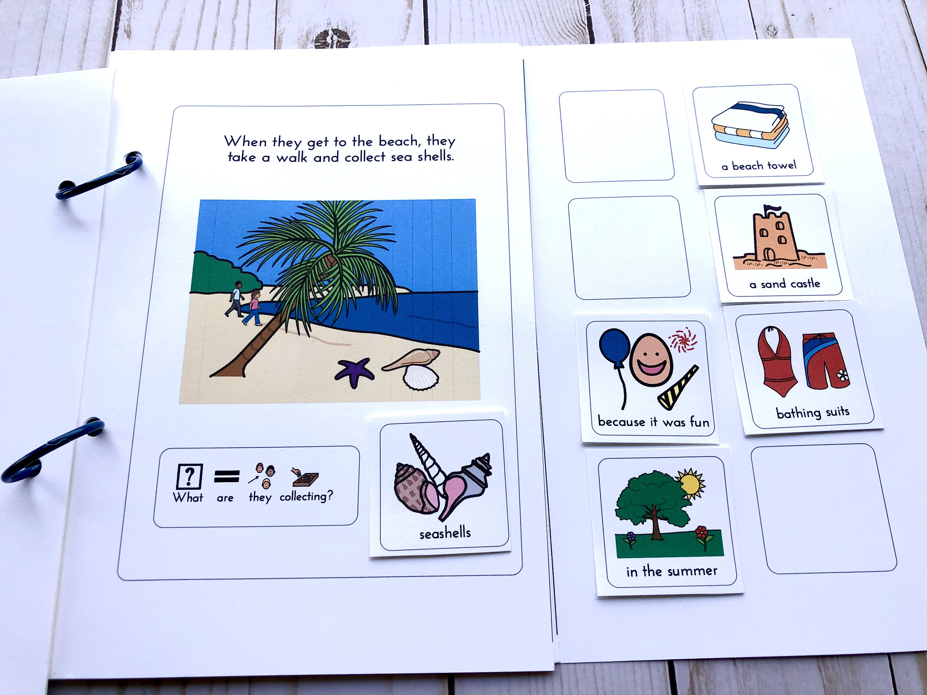 Printable Summer Interactive Books, Wh Questions for Speech Therapy ...