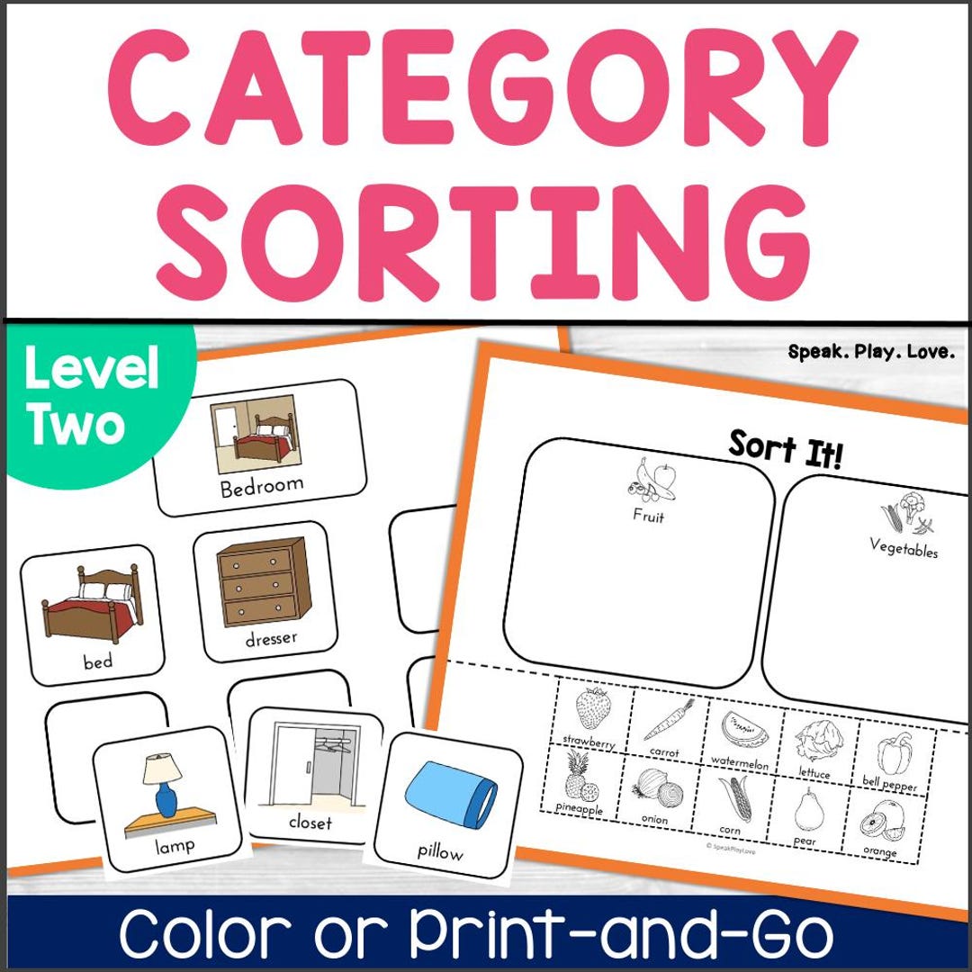 Printable Category Sorting Activity: Preschool & Special Education (PDF ...
