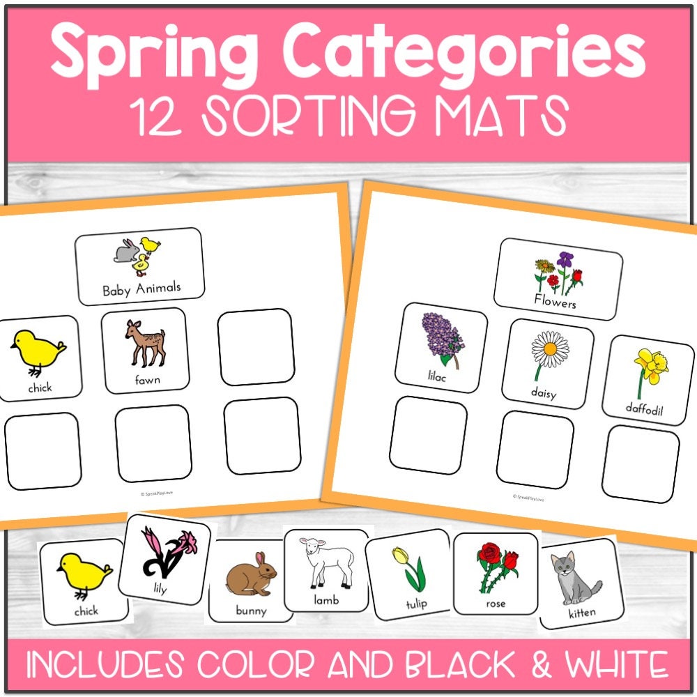 Printable Spring Category Sorting Activity, Speech Therapy, Special ...