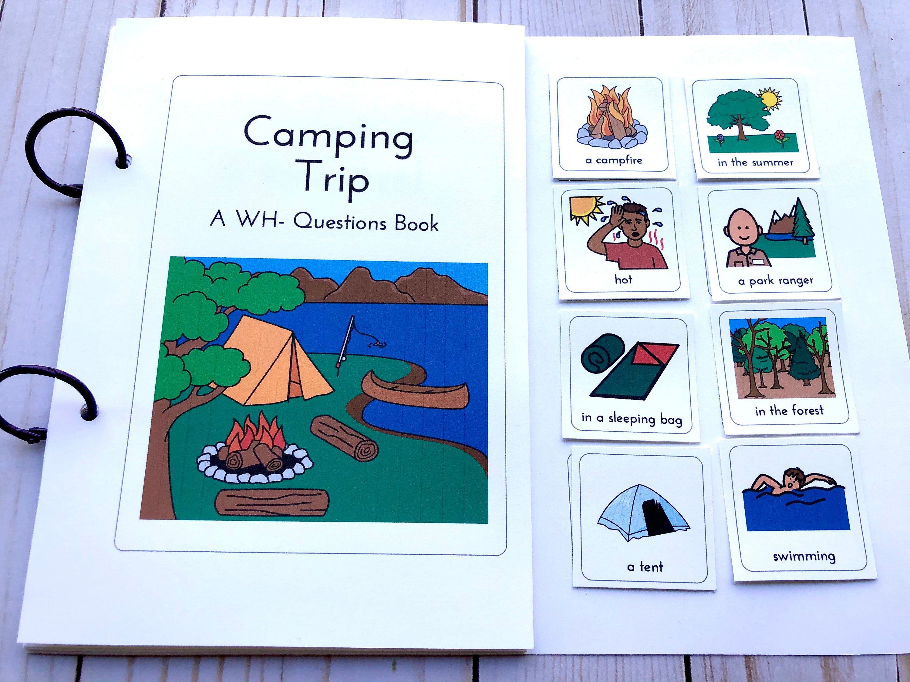 Printable Summer Interactive Books, Wh Questions for Speech Therapy ...