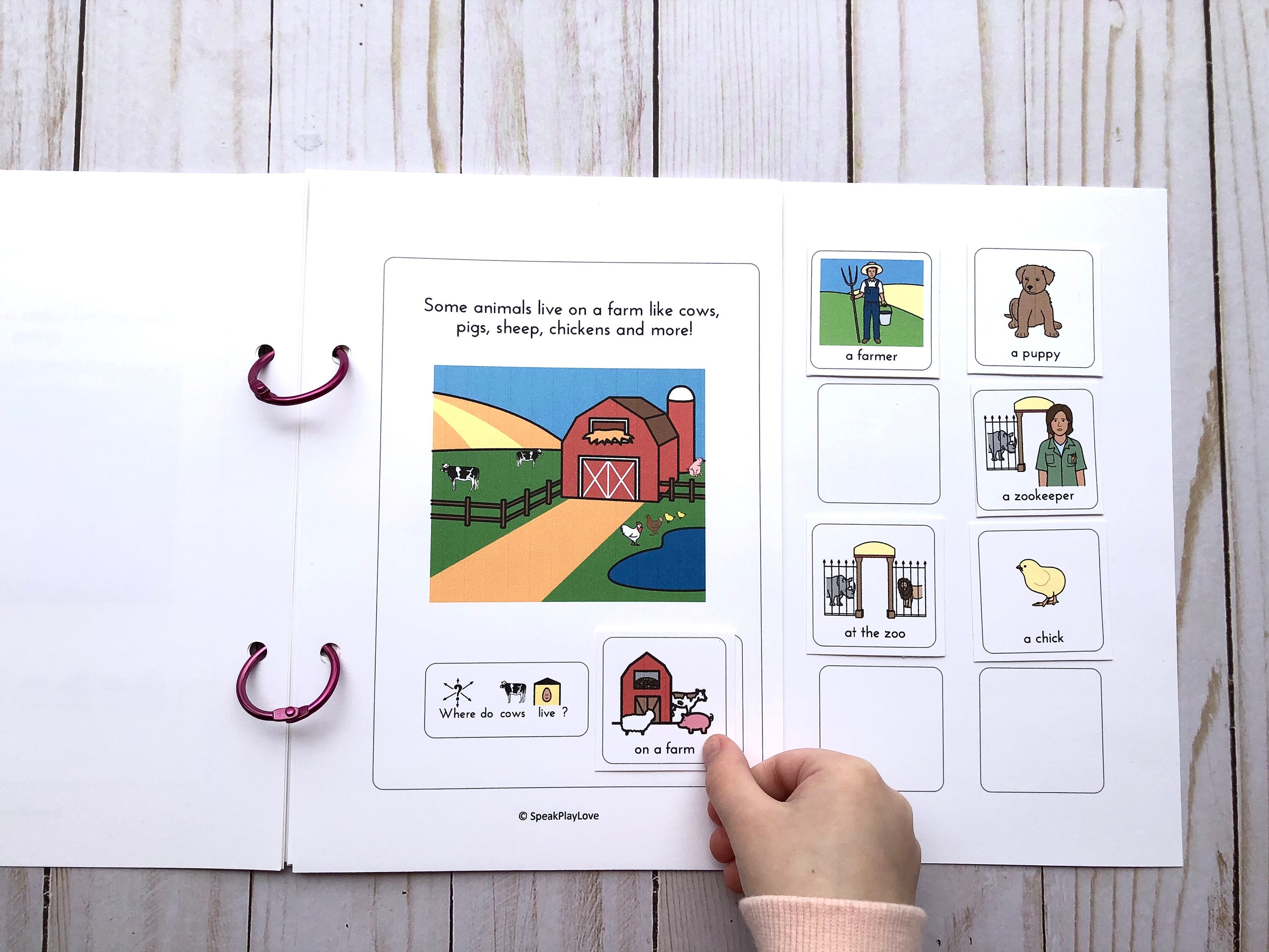 Printable Spring Interactive Books, Wh Questions for Speech Therapy ...