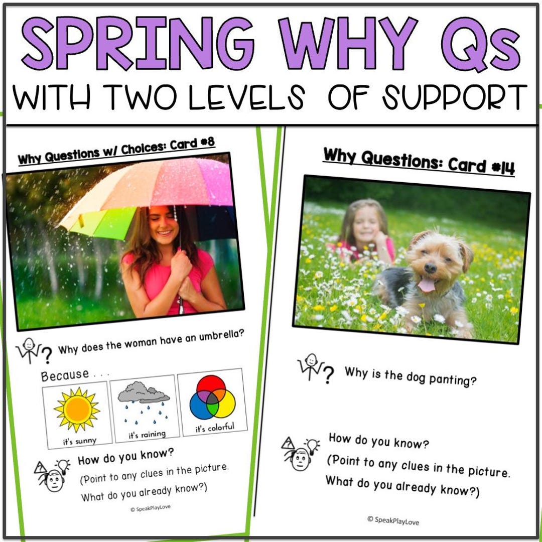 Spring Why Questions Cards Printable; WH Questions With Visual Supports ...