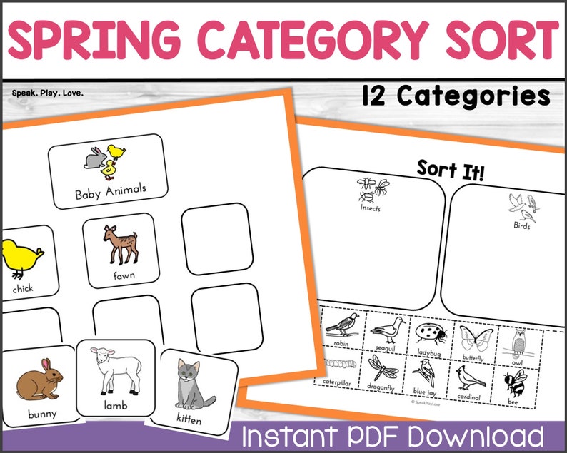 Printable Spring Category Sorting Activity, Speech Therapy, Special ...