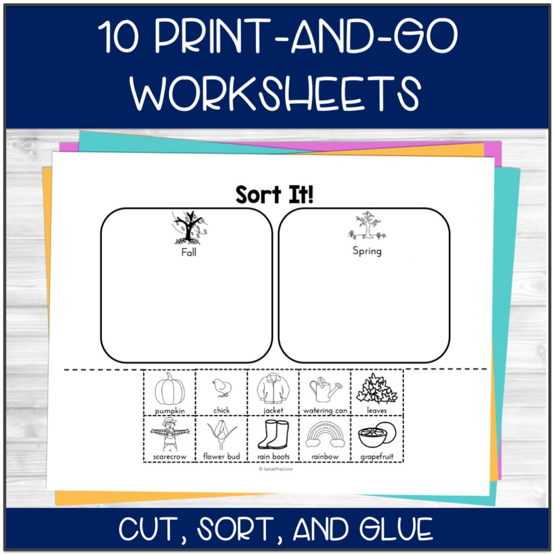 Printable Category Sorting Activity: Preschool & Special Education (PDF ...